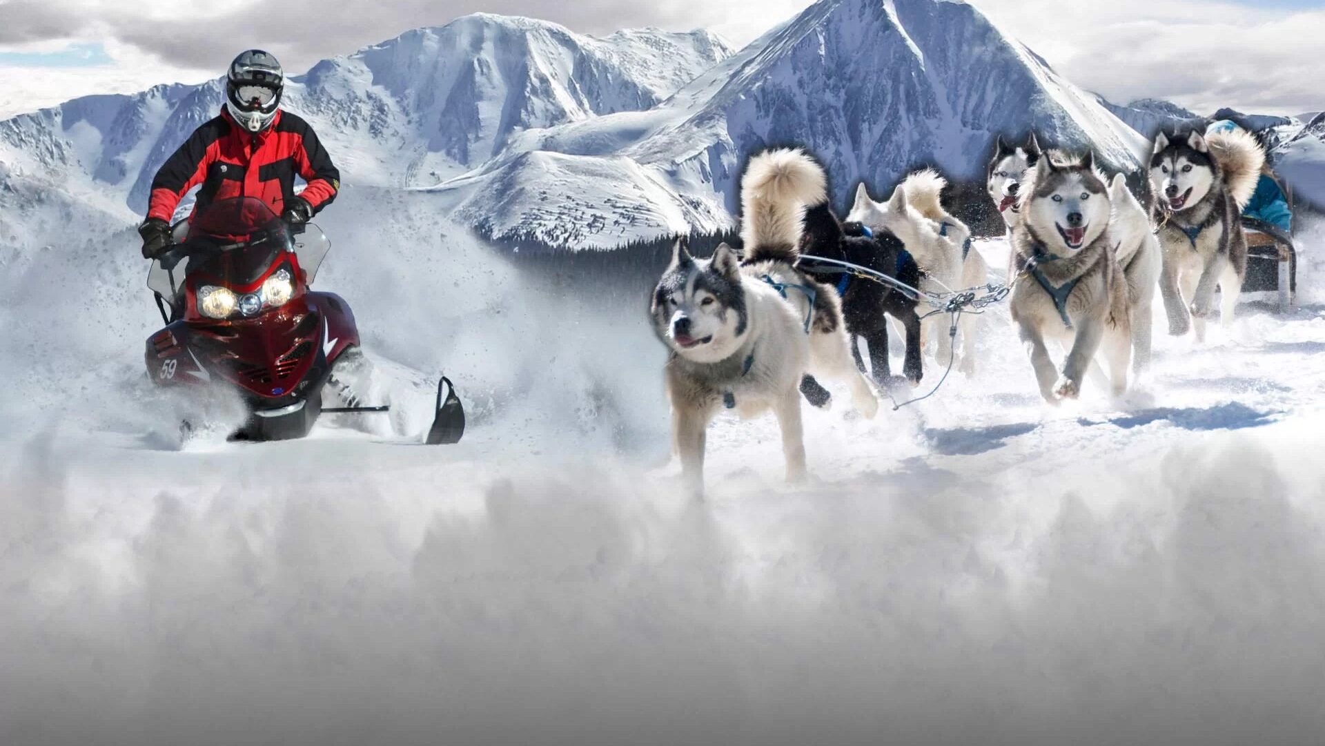 Gold Rush Transportation